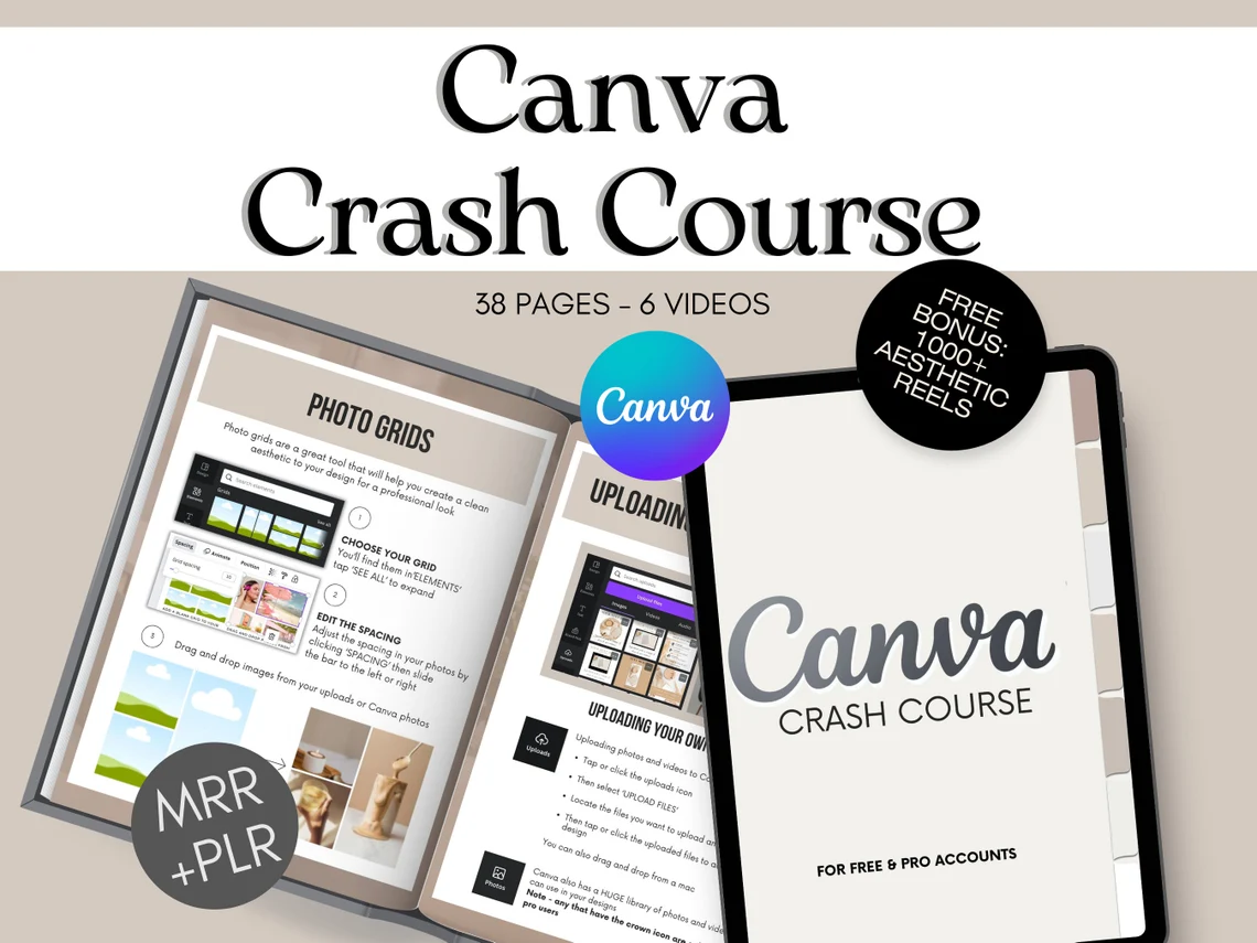 Comprehensive Canva Crash Course with MRR & PLR Rights | PLR Creative